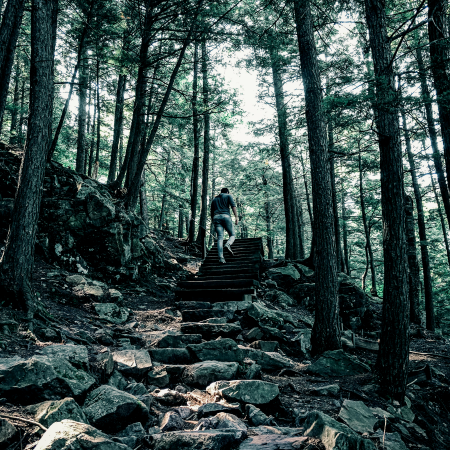 Aviyana Ceylon | The Most Exclusive & Luxurious Resort in Sri Lanka