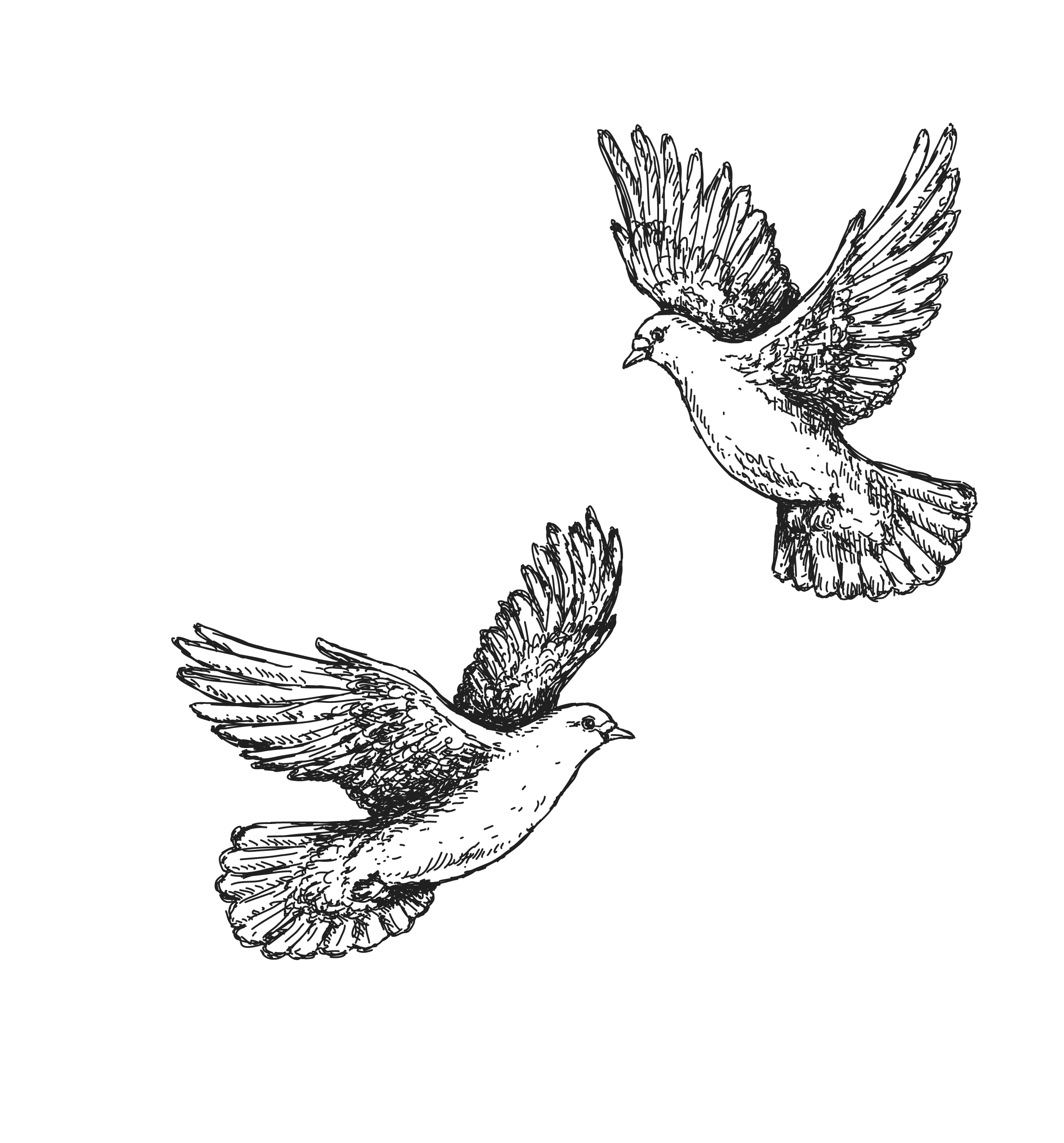 Aviyana Ceylon | The Most Exclusive & Luxurious Resort in Sri Lanka